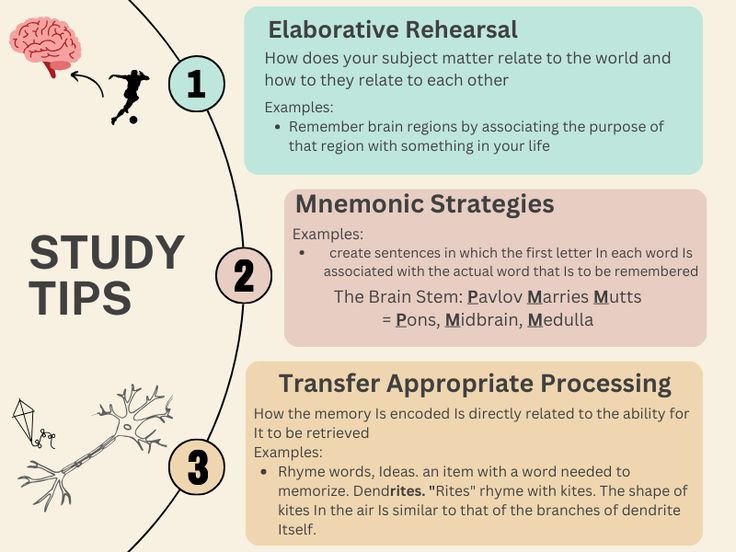 How to Take Smart Notes: The Best 6 Systems for Students and ...